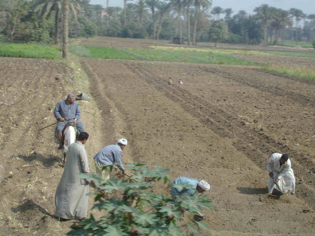 Untitled Document [www.newsongministries.info]